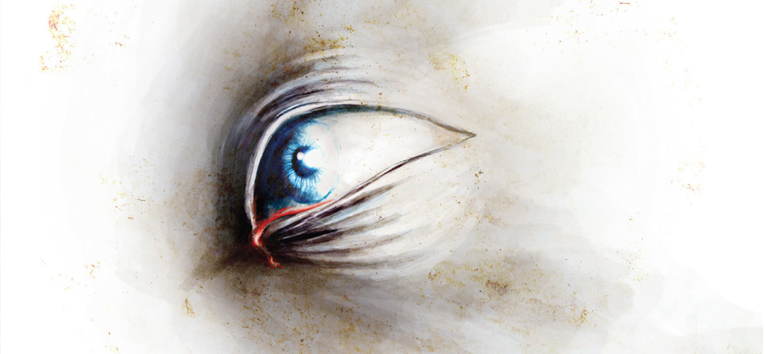 Markosia Spotlight On: Knowledge – Markosia