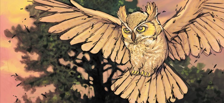 Markosia Spotlight On: Owl: The Tale of Owl and Snake – Markosia